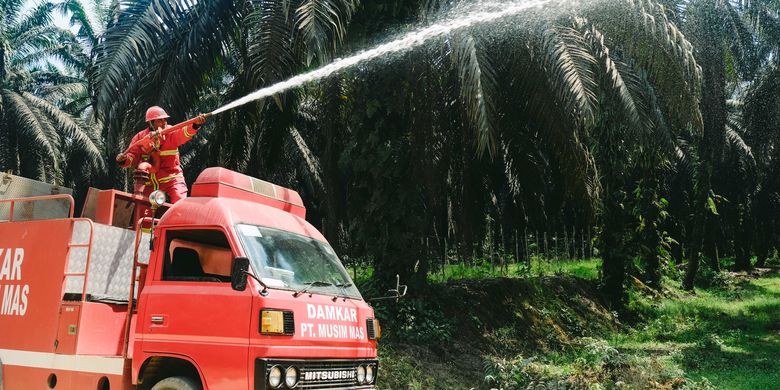 Musim Mas Beri Insentif Rp 25 Juta Bagi Desa Bebas Api di Riau