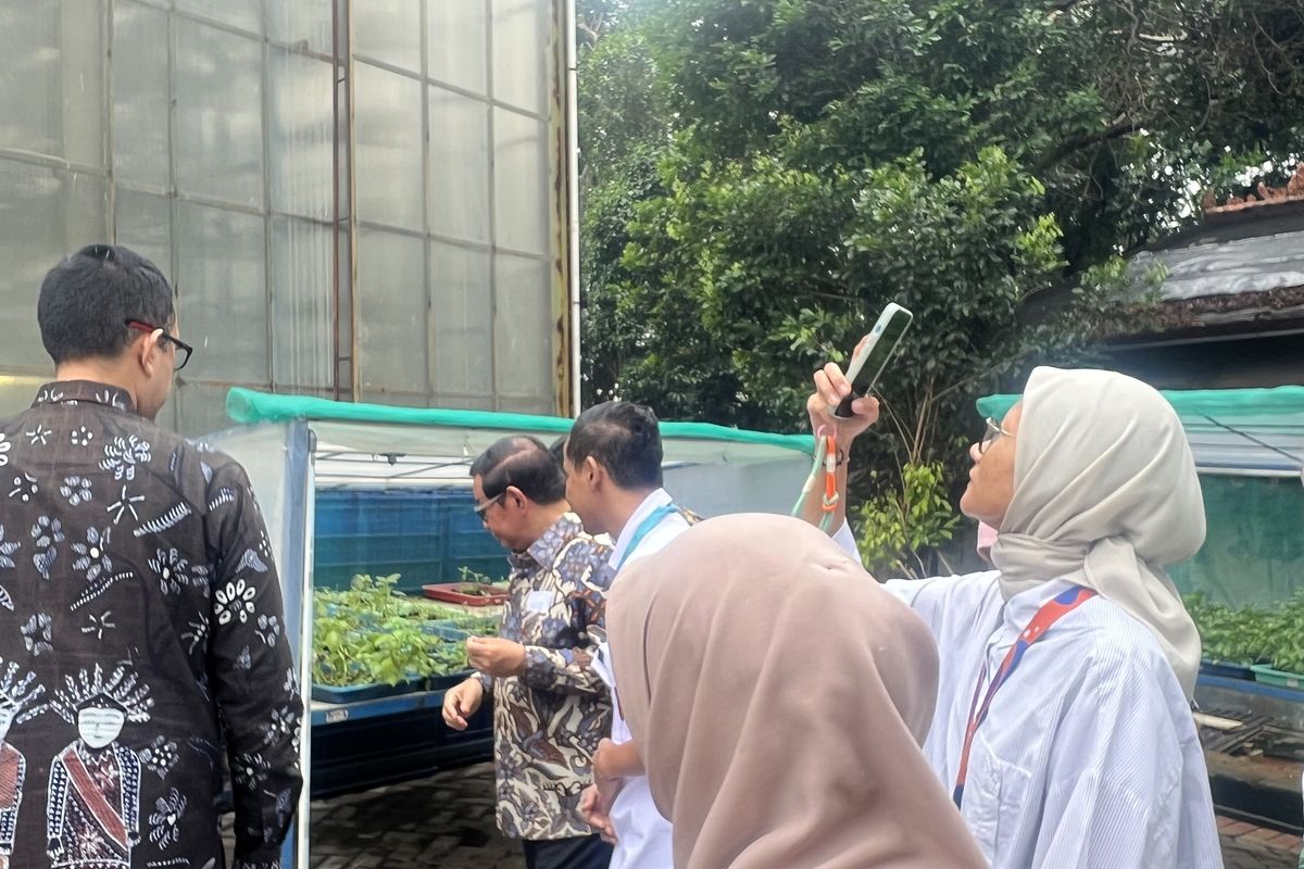 Pramono Anung Kagum Ladang Farm Hasilkan 2 Ton Sayuran Hidroponik per Bulan