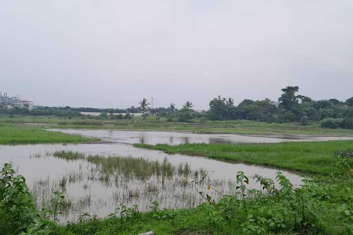 Situ Ranca Gede Disulap Jadi Pabrik: Negara Rugi Rp 1 Triliun, Warga ...