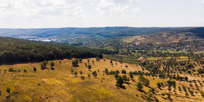 Lokasi Dataran Rendah di Indonesia dan Ciri-Cirinya
