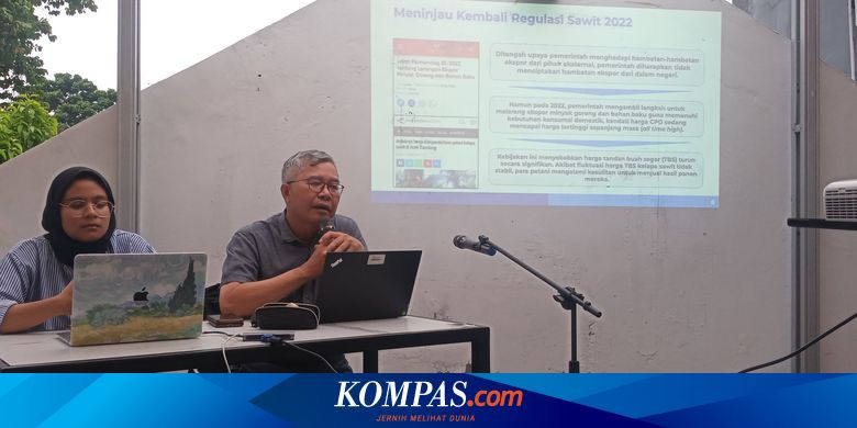 Pengamat: Bursa CPO Bukan Solusi untuk Permasalahan Industri Sawit di RI