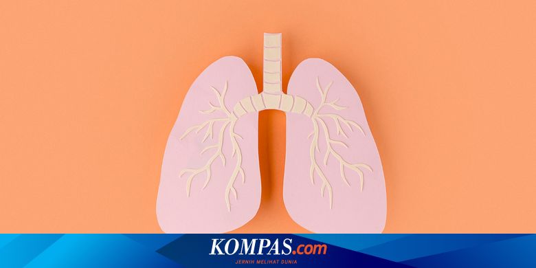 Penyakit Fibrosis Paru - Gejala, Penyebab, Pengobatan - Kompas.com