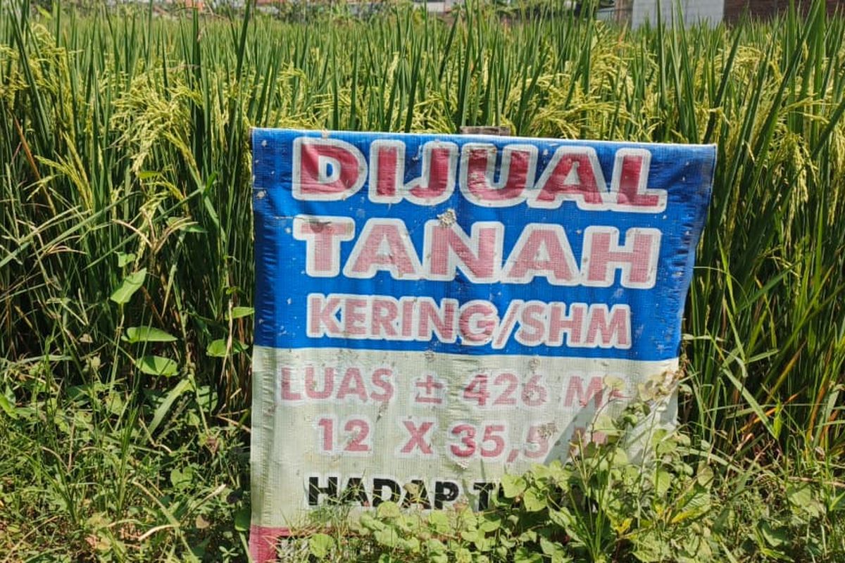 Segini Biaya Pengecekan Sertifikat Tanah di BPN