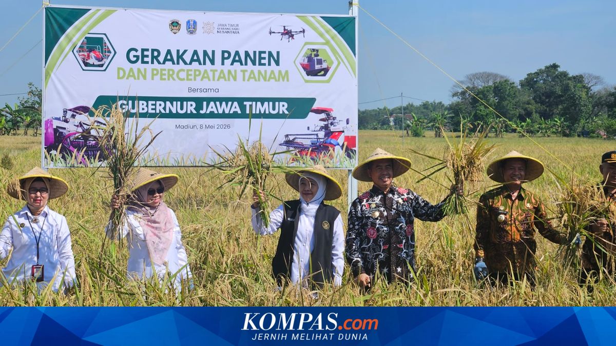 Panen Padi di Madiun, Khofifah Sebut Beras Produk Politik, Harus Aman ...