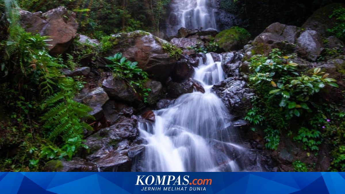 Curug Cilember Bogor: Harga Tiket, Jam Buka, dan Lokasi 2025