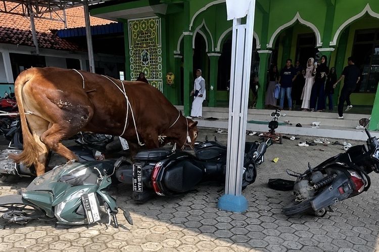 Berita Terkini Harian Kroya Indramayu Terbaru Hari Ini - Kompas.com