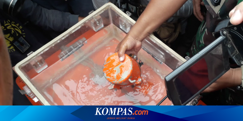 Jadi Komponen Penting Pesawat, Bagaimana Cara Kerja Black Box?