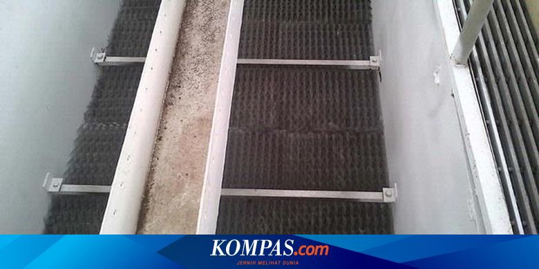Biofiltrasi, Manfaatkan Mikroba untuk Pengolahan Air