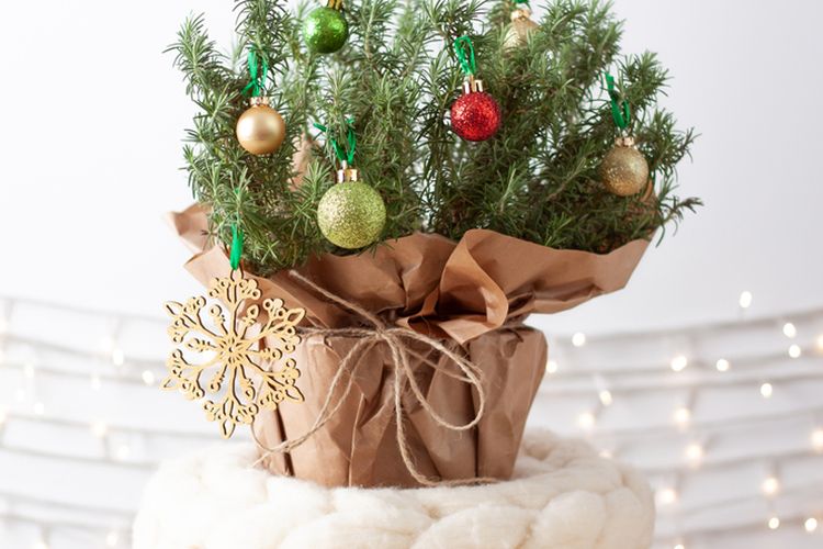 6 Ide Pohon Natal Alternatif untuk Rumah Kecil, Kreatif dan Unik