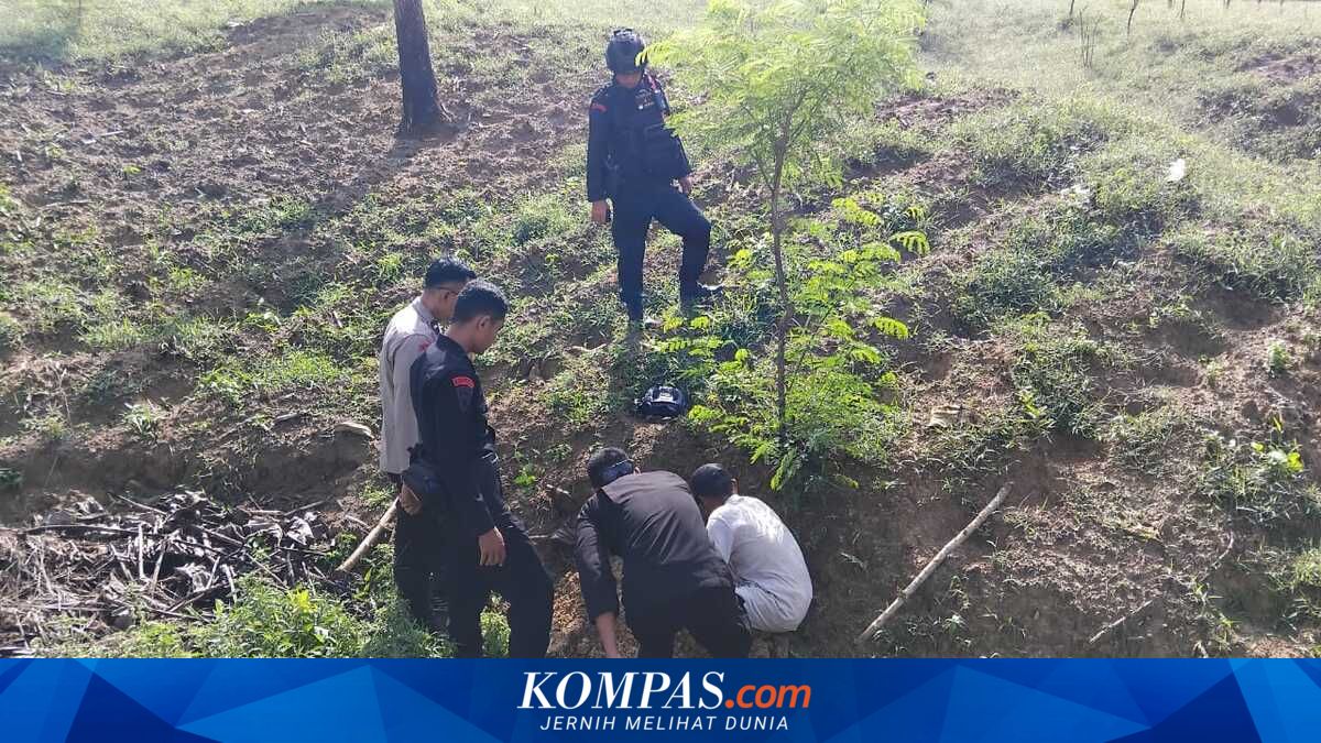 Mortir Temuan Warga Blora Dimusnahkan Tim Jihandak Brimob di Hutan Jati ...