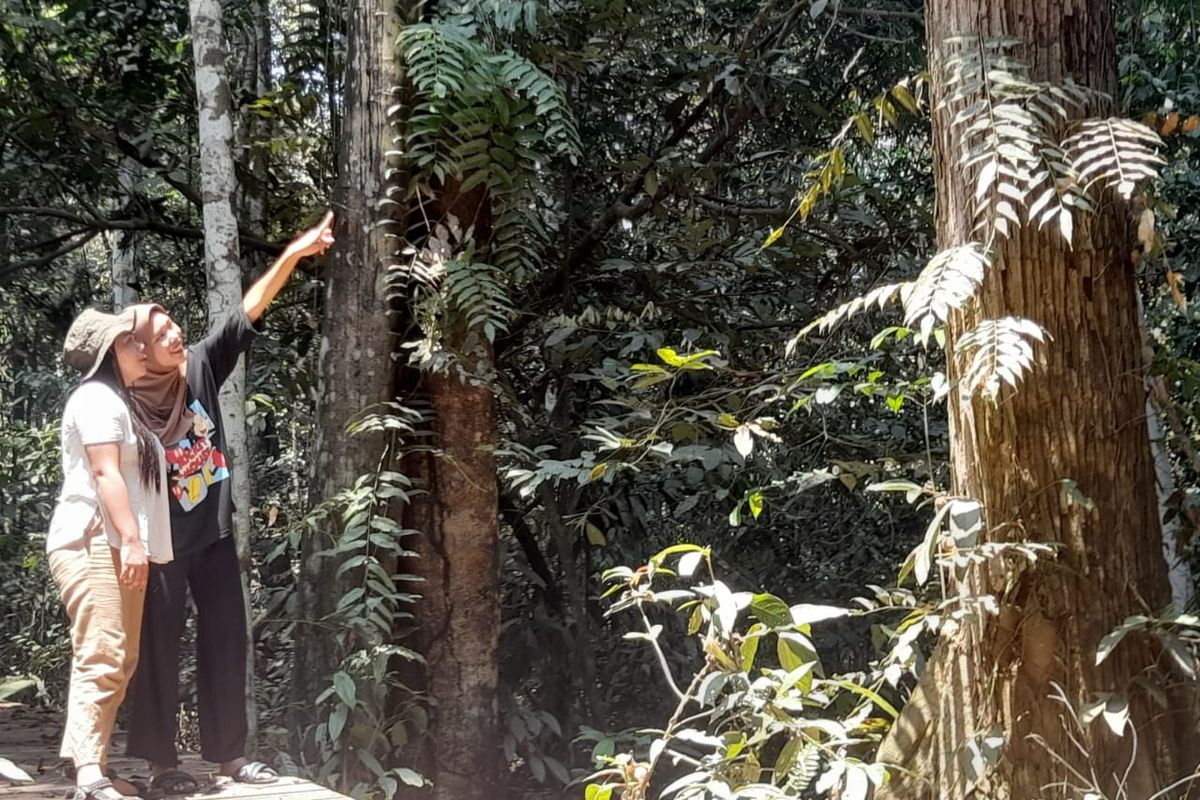 Srikandi Dalam Pusaran Mata Air Terakhir di Hutan Lindung Gambut