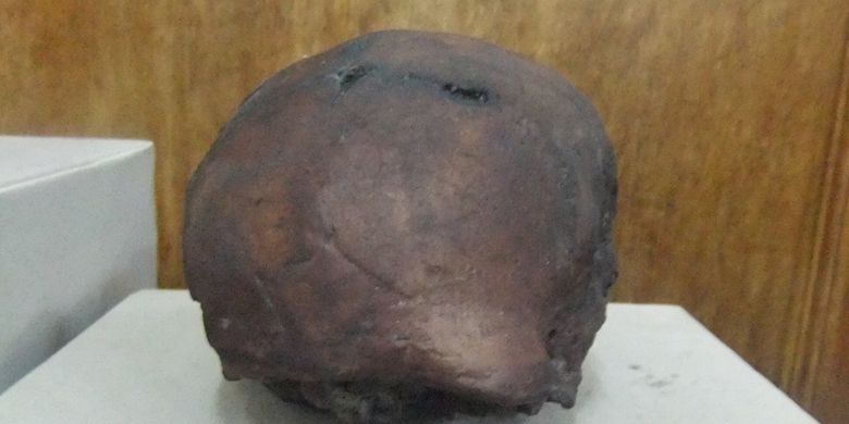 Pithecanthropus Mojokertensis: Penemu dan Ciri-ciri