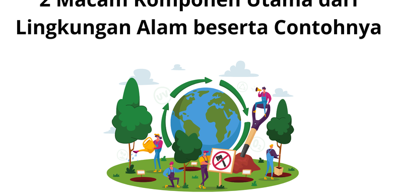 2 Macam Komponen Utama dari Lingkungan Alam beserta Contohnya