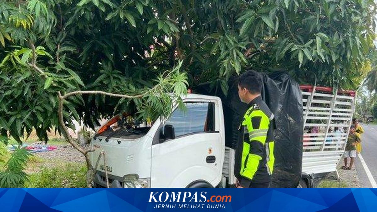 3 Pemburu Babi Tewas Kecelakaan di Padang Pariaman, 11 Orang Luka-luka