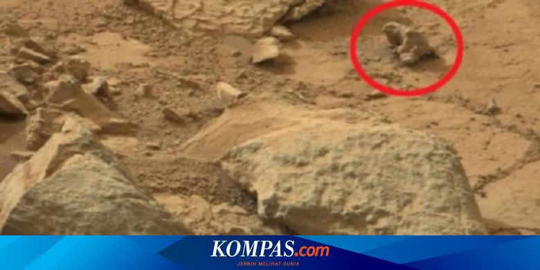 Lihat, Apakah Benar Ini Wujud Iguana di Mars?