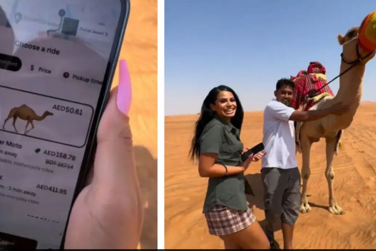 Video Viral Perempuan Memesan "Uber Unta" di Gurun Dubai, Warganet Tak ...
