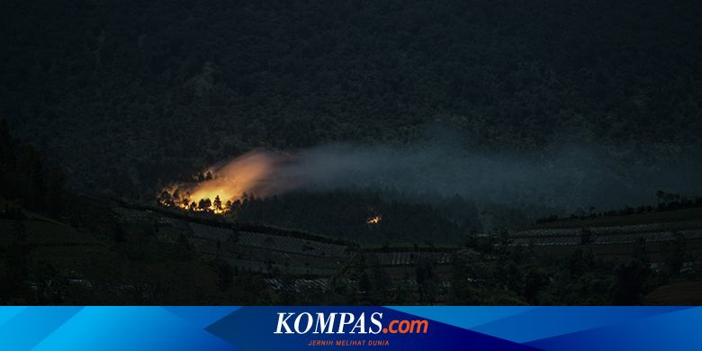 Titik Api Kembali Muncul di Hutan Lereng Gunung Slamet