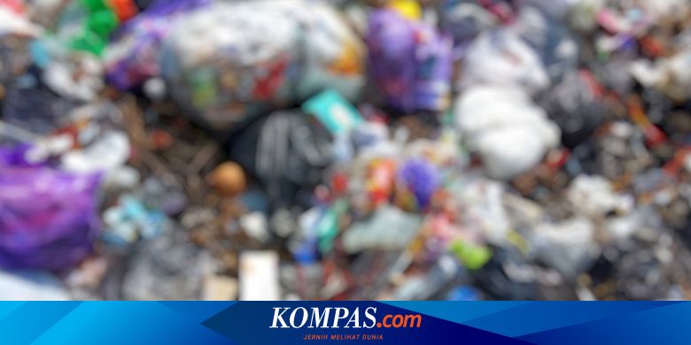 Sebulan Gerakan Bali Bersih Sampah Digencarkan, Ini Tanggapan PPLH Bali
