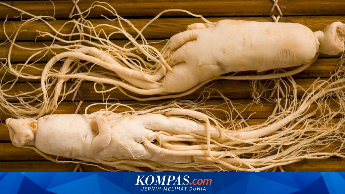 Ginseng Merah, Kaya Khasiat untuk Kesehatan