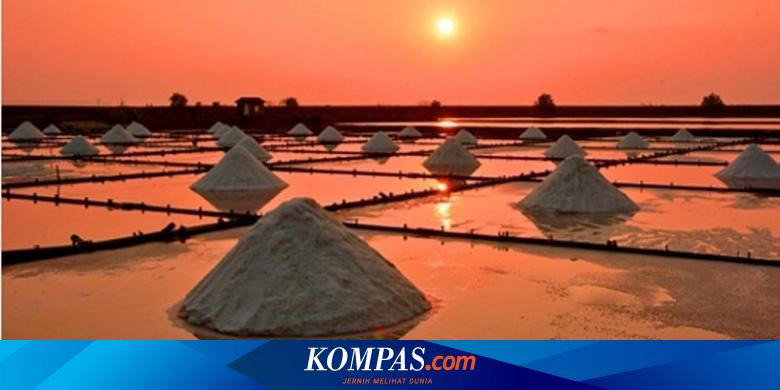 Pemerintah Siap Buka Ribuan Hektar Ladang Garam di NTT dan Sulawesi