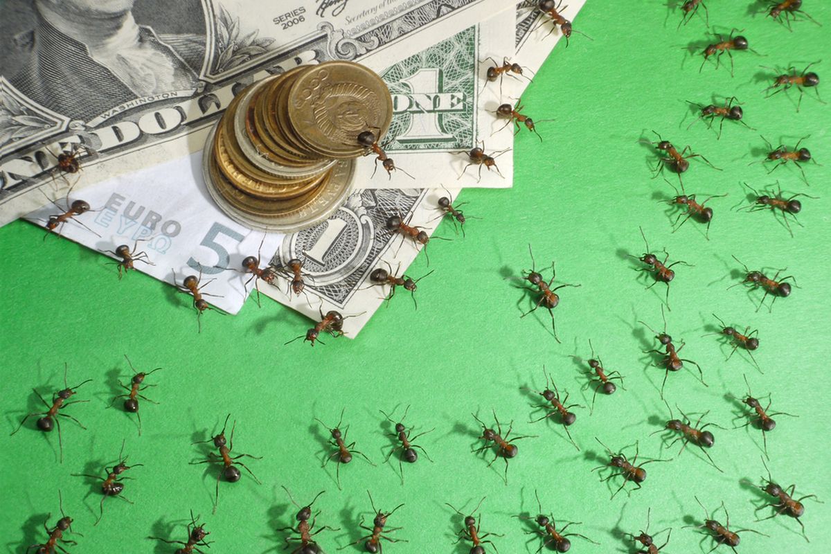 Siasat Licik Oligarki Merampok Tanah (Bagian III-Habis)