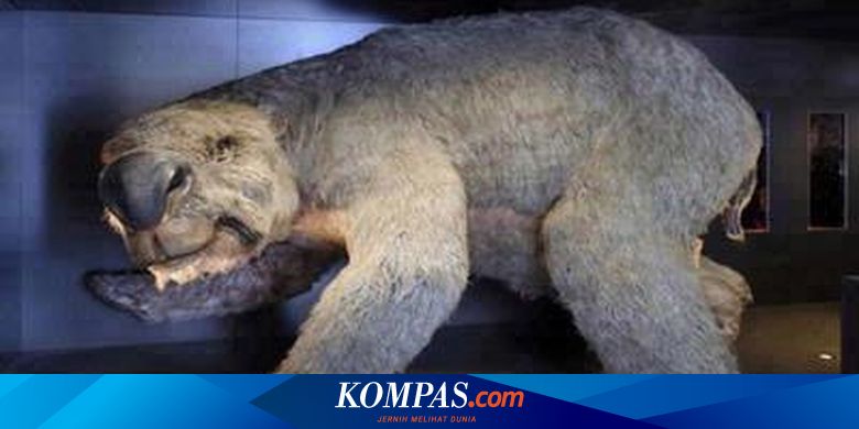 Fosil Binatang Purba Ditemukan di Madiun