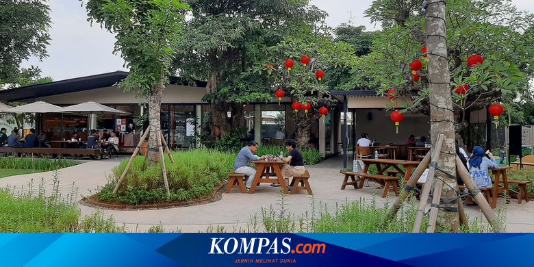 Panduan Lengkap Main ke Urban Forest Cipete