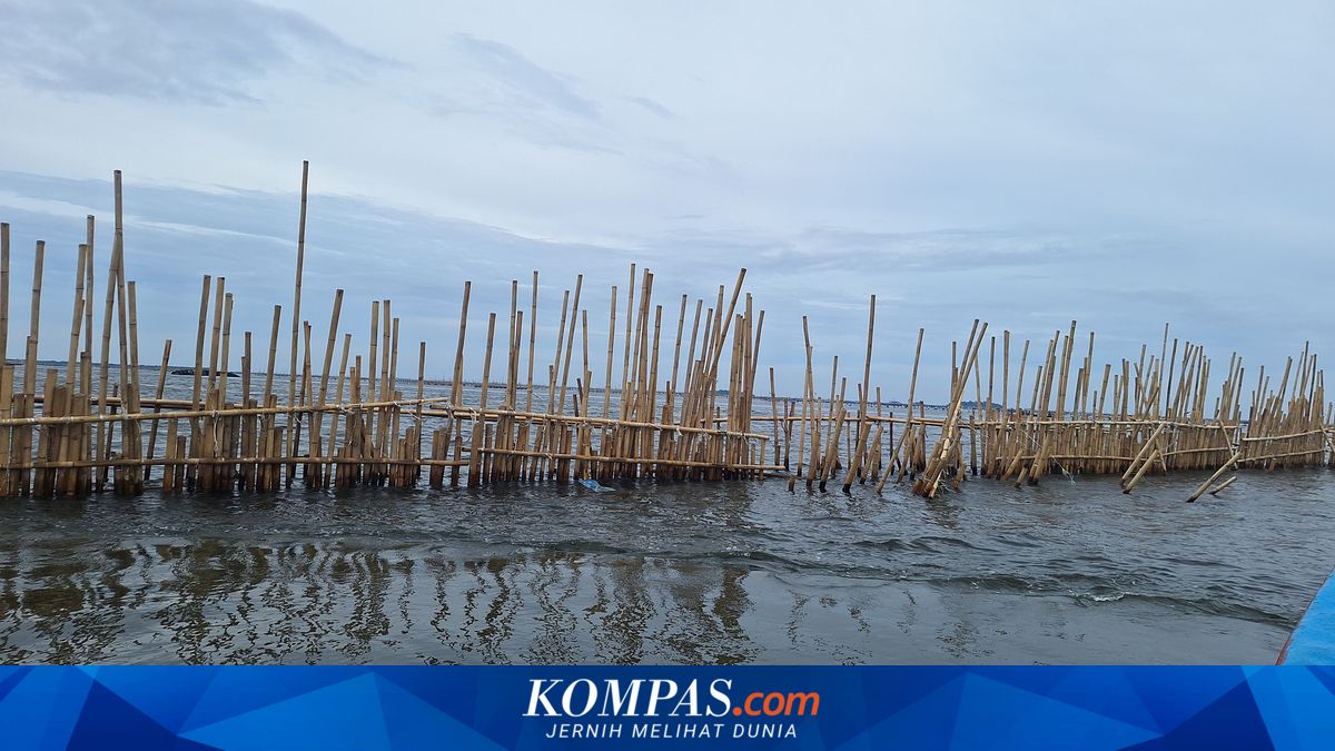 Penampakan Pagar Laut di Seberang Pulau C Jakut, Ada di 3 Titik