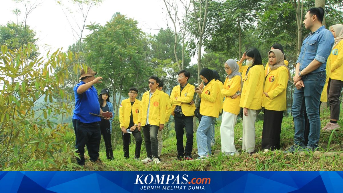 Dukung SDG's, UI dan Danone Aqua Gelar Kompetisi Inovasi "Voice of ...