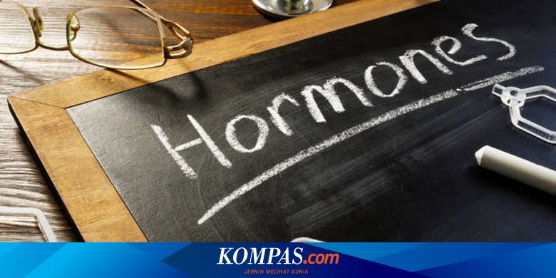 Pengertian Hormon, Jenis, dan Fungsinya