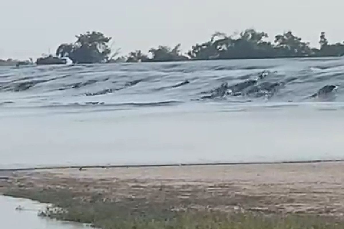 "Baby Volcano" di Grobogan Bergejolak Usai Gempa Tuban, Semburan Lumpur ...
