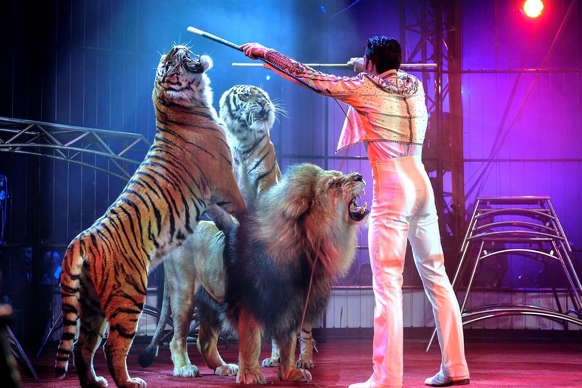 Sejarah Pertunjukan Sirkus