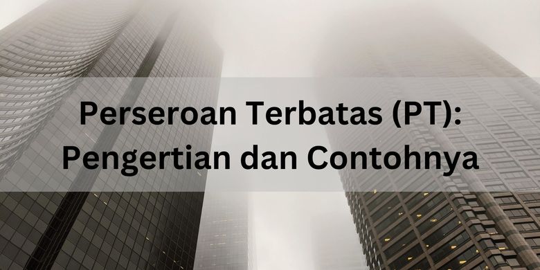 Perseroan Terbatas (PT): Pengertian dan Contohnya