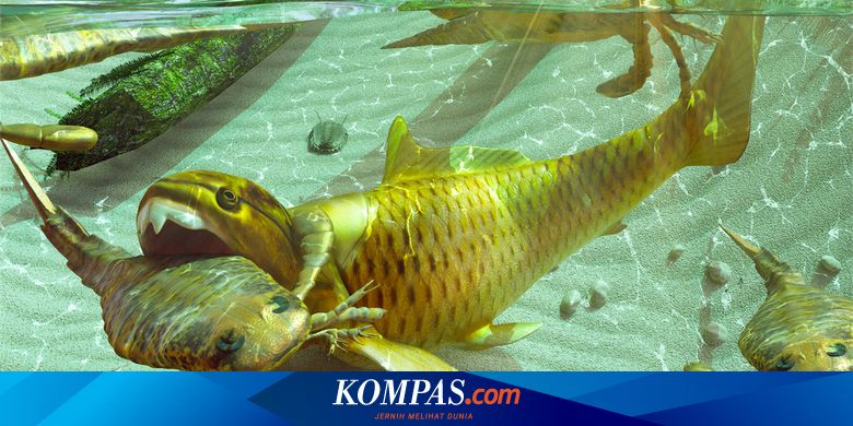 Jadi Penyebab Kepunahan Massal Bumi, 350 Juta Tahun Lalu Air Laut Naik - TrendRadars Indonesia