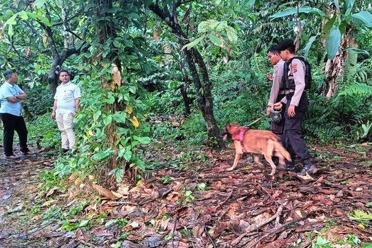 Fakta Terbaru Kasus Pembunuhan Gadis Penjual Gorengan: Polisi Tetapkan Tersangka, Residivis 2 ...