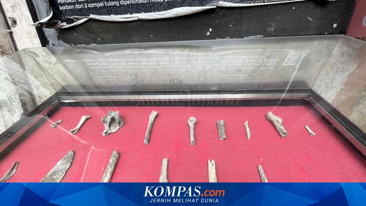 Fakta di Balik Penemuan Tulang Manusia dan Patahan Batuan di Sumur ...