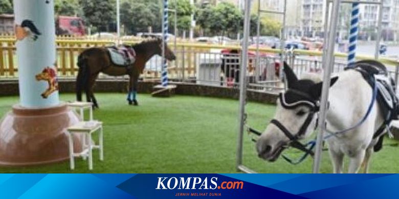 Sebuah Mal di China Pakai Kuda Poni Asli untuk Wahana Komidi Putar