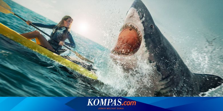 Sinopsis The Reef: Stalked, Kembalinya Teror Hiu Putih