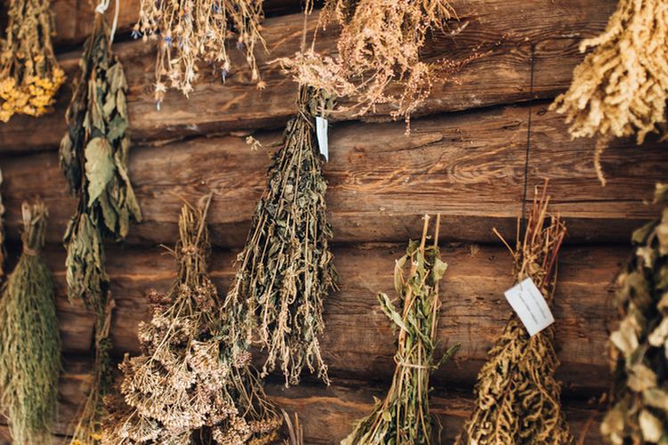 7 Cara Mengeringkan Tanaman Herbal dan Menyimpannya agar Tahan Lama