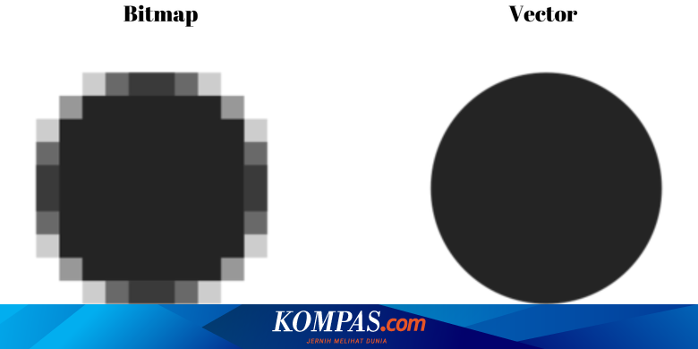 Perbedaan Gambar Bitmap dan Vector serta Contohnya