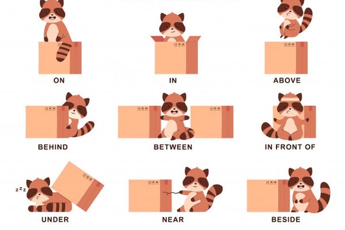 Macam-macam Preposition dalam Bahasa Inggris