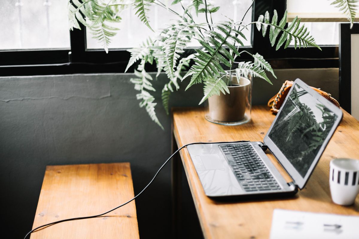 Laptop Cepat Panas? Ini Tips Ampuh Atasi Overheating