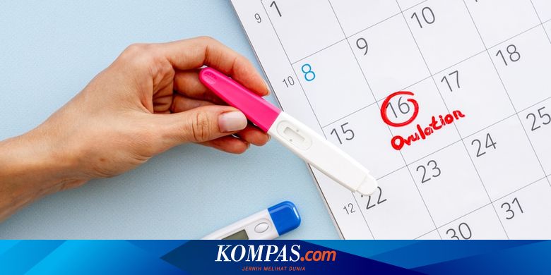 Apa yang Terjadi pada Tubuh Wanita Saat Ovulasi?