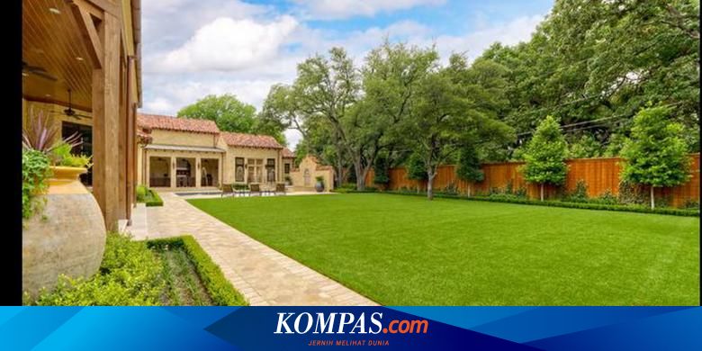 5 Cara agar Rumput Gajah di Halaman Rumah Tumbuh Lebat dan Subur