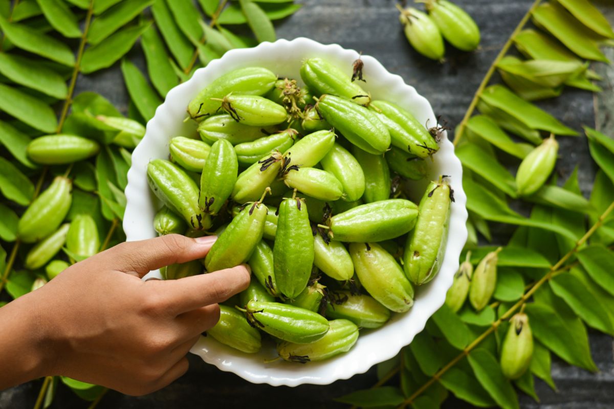 6 Manfaat Belimbing Wuluh untuk Kesehatan dan Cara Menggunakannya