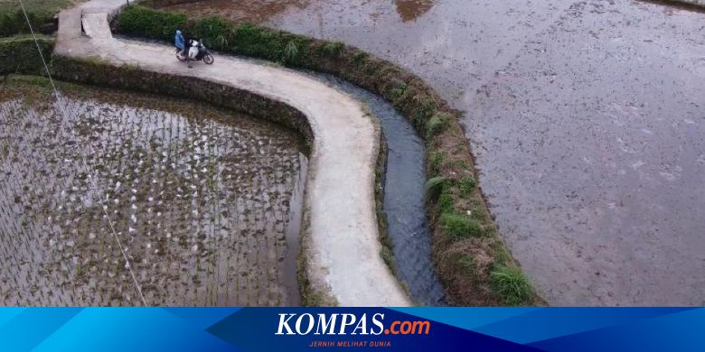 Antisipasi Kemarau Panjang Akibat El Nino, Kementan Siapkan Berbagai Strategi, dari RJIT hingga AUTP
