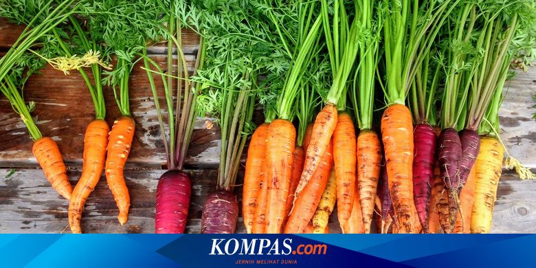 12 Makanan Untuk Mencegah Kanker
