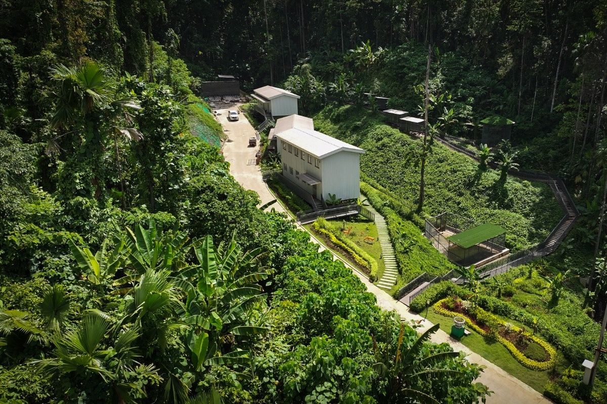 Lindungi Flora dan Fauna Endemik Halmahera, IWIP Resmikan "Sanctuary Park"