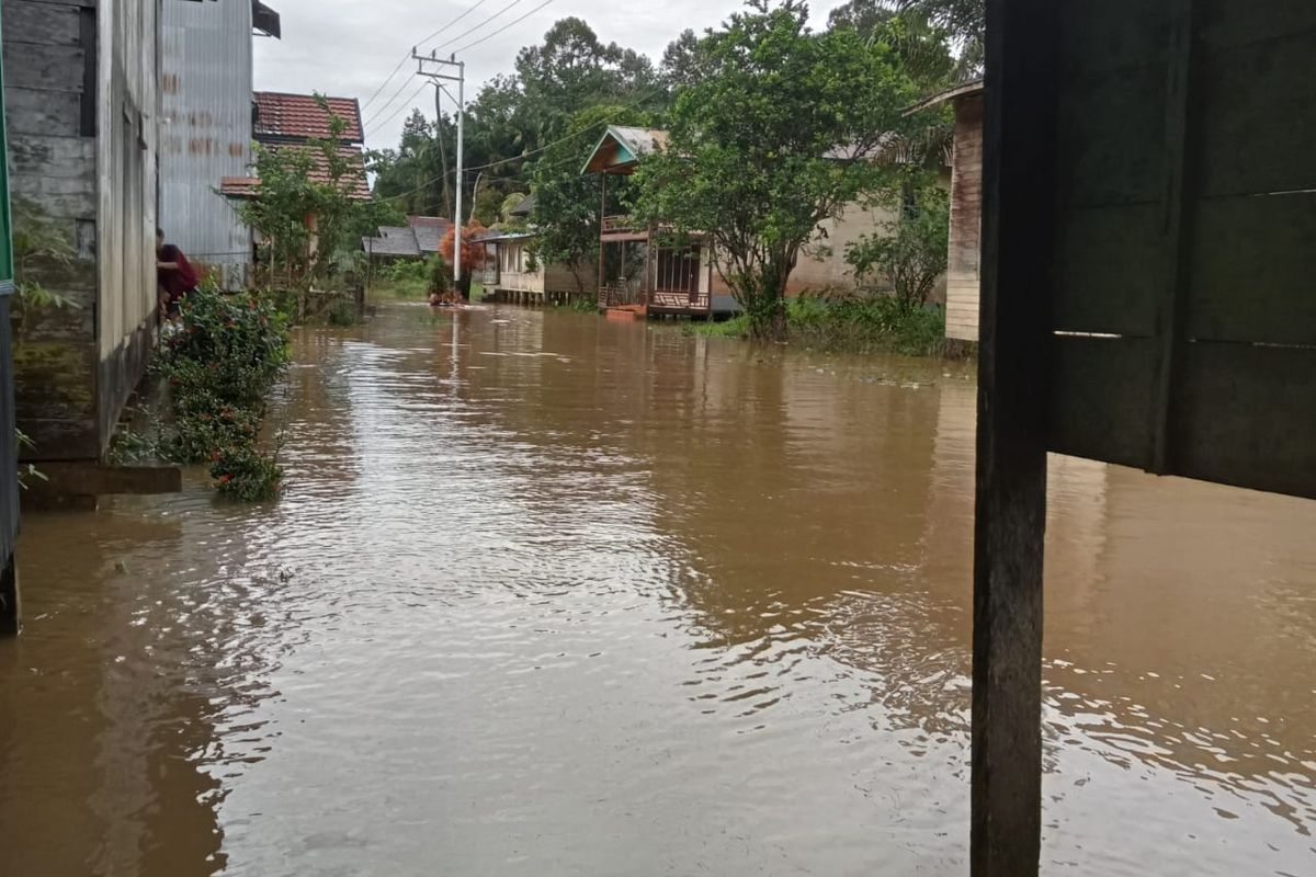 Hujan Deras, 5 Kabupaten di Kalteng Direndam Banjir