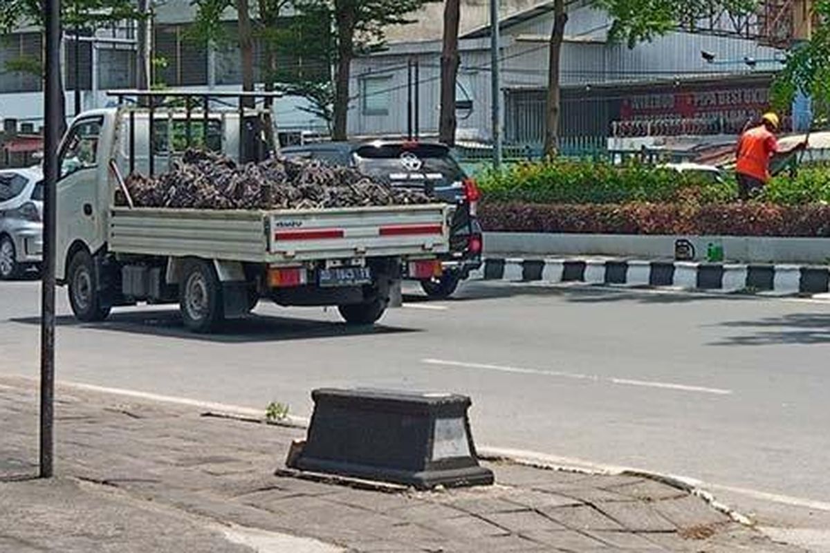Kisah Makam Nyai Tembong, Kucing Ningrat Kesayangan Raja Kasunanan ...